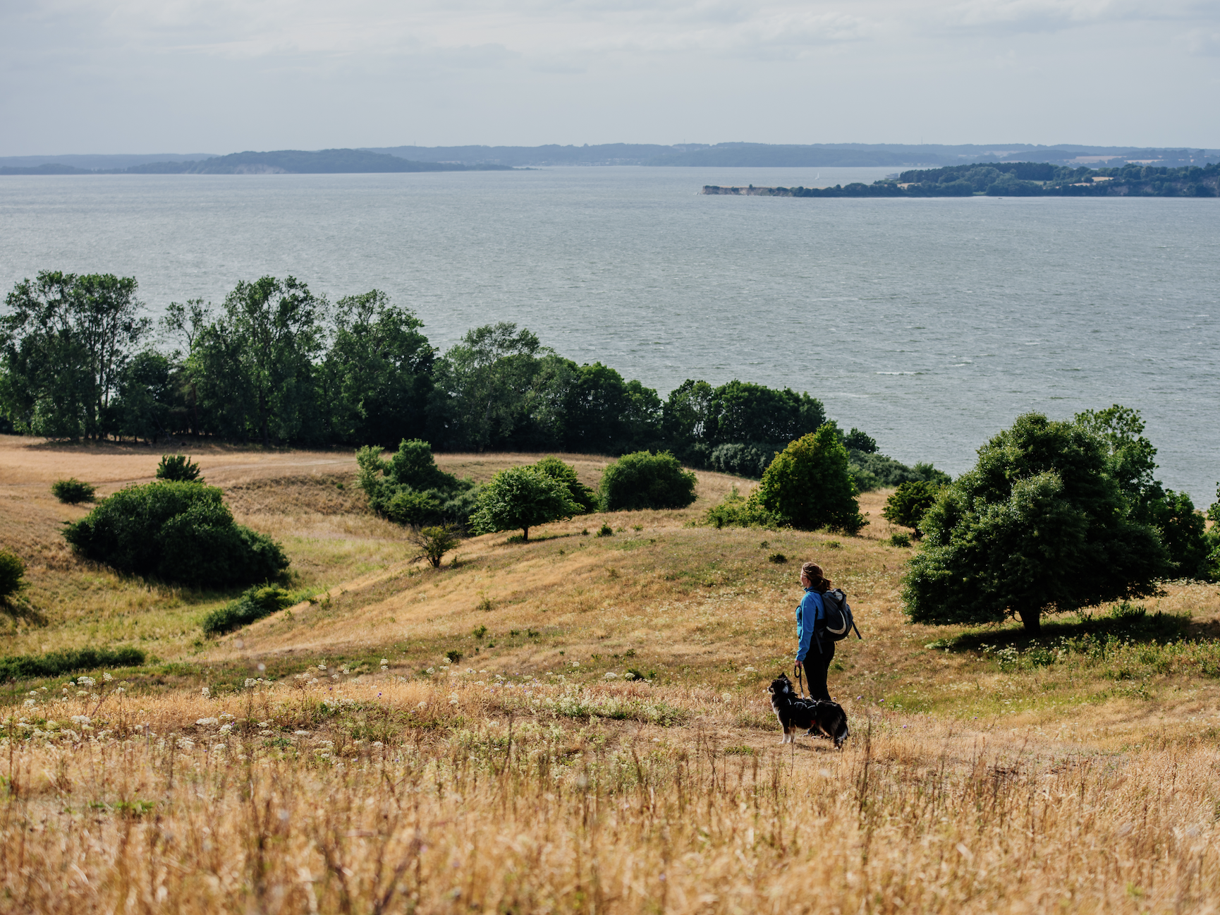 Aktiv und Natur: Insel Rügen - Urlaub, Sehenswürdigkeiten, Hotels ...