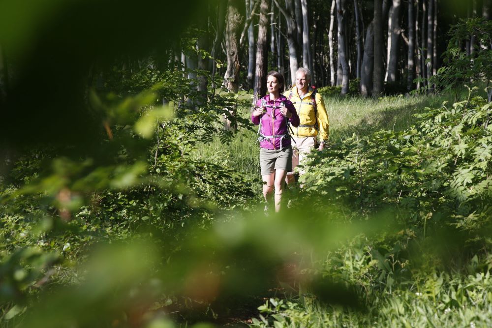 Patzig: Insel Rügen - Urlaub, Sehenswürdigkeiten, Hotels, Unterkünfte