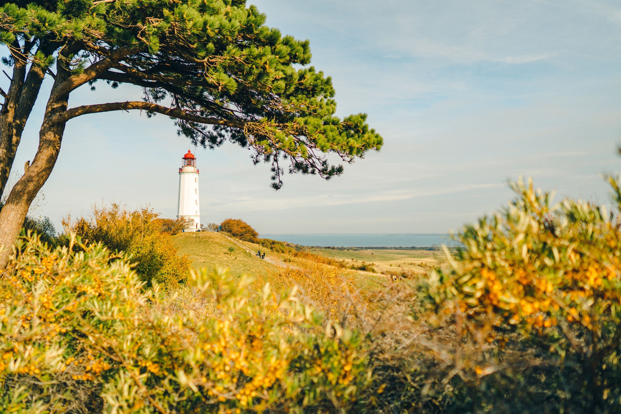 Insel Hiddensee: Insel Rügen - Urlaub, Sehenswürdigkeiten, Hotels ...