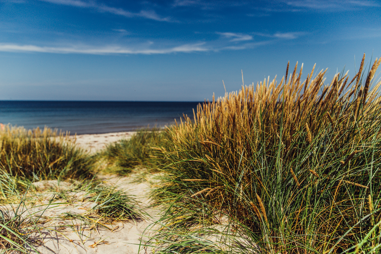 Insel Hiddensee: Insel Rügen - Urlaub, Sehenswürdigkeiten, Hotels ...