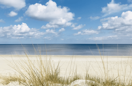 Strand und Meer: Insel Rügen - Urlaub, Sehenswürdigkeiten, Hotels ...
