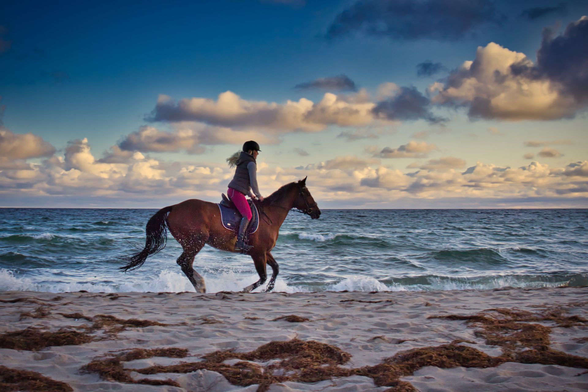 Reiten: Insel Rügen - Urlaub, Sehenswürdigkeiten, Hotels, Unterkünfte
